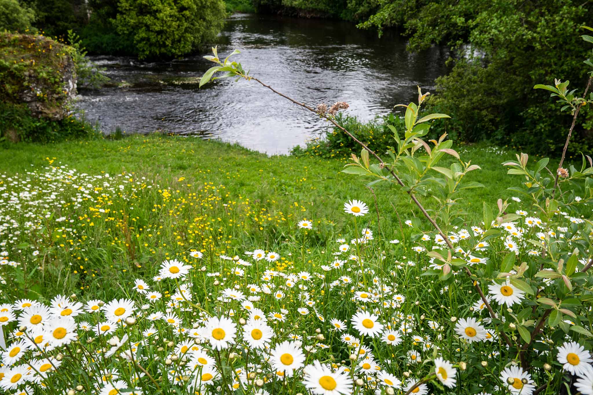Protecting our water sources | Conservation | Uisce Éireann (formerly ...
