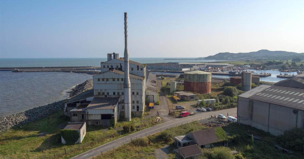 Key milestones achieved one year on as horizon looks bright for Arklow ...